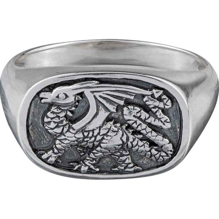 Dragon Wrap Silver Ring