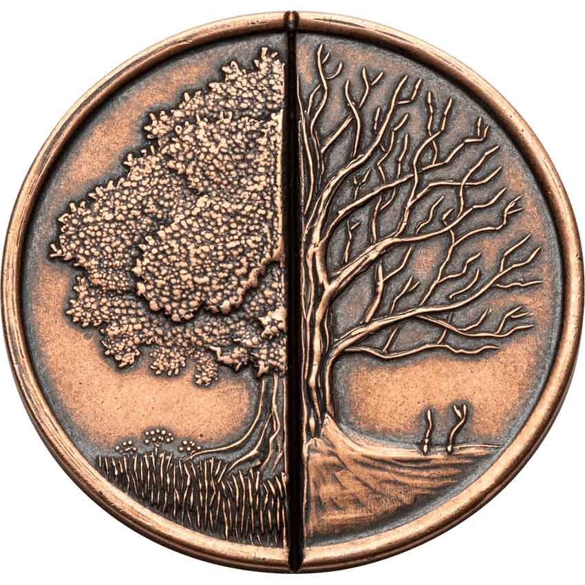 Fantasy Coins and Pop Culture Coins - Dark Knight Armoury