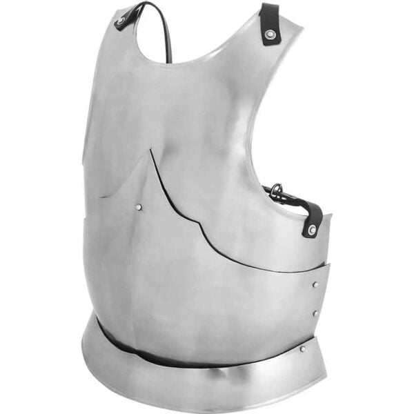 Metal Body Armor and SCA Steel Body Armor - Dark Knight Armoury