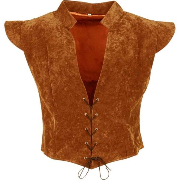 Antique Velvet Doublet